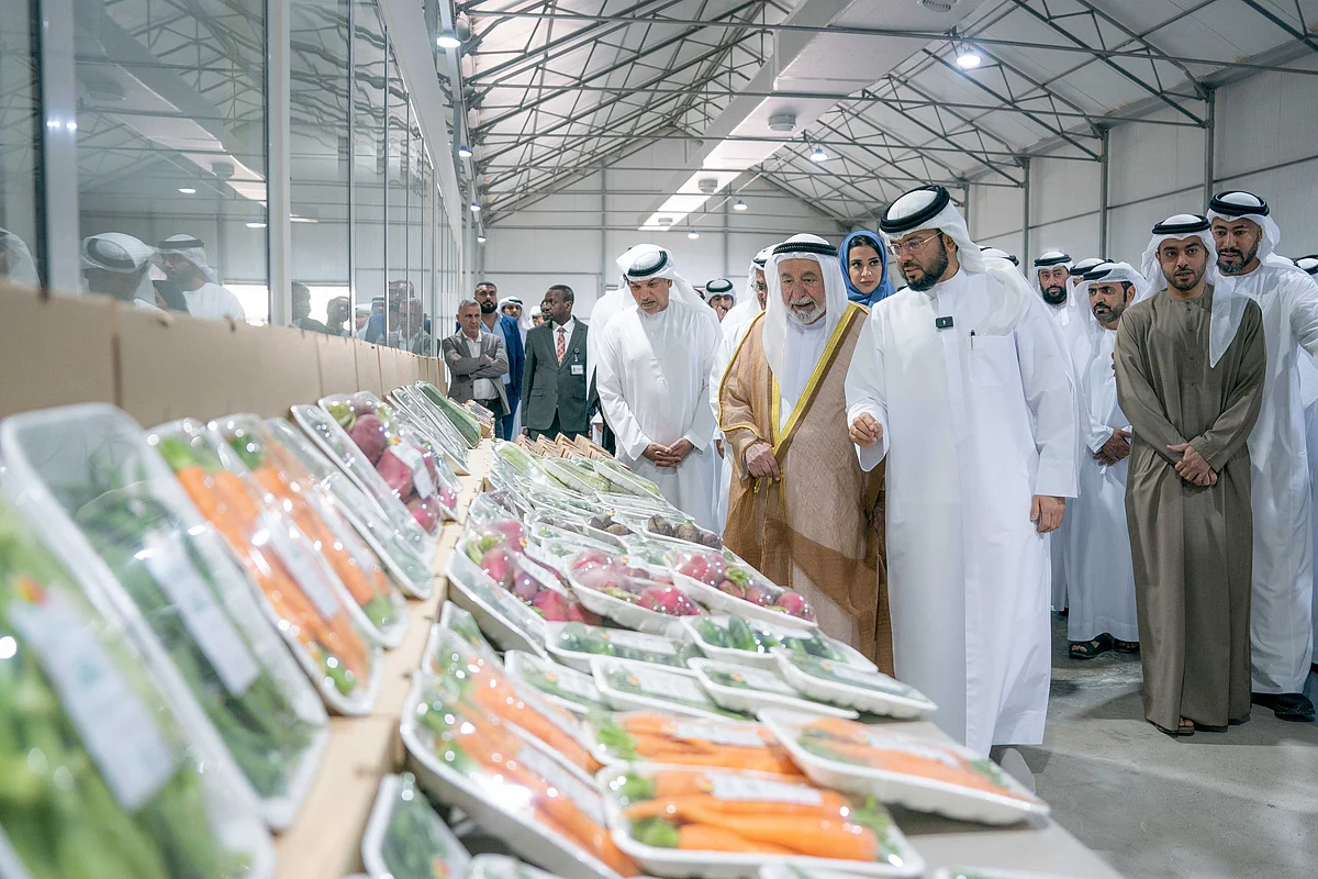 UAE: New product line of local organic fruits, vegetables launched in ...
