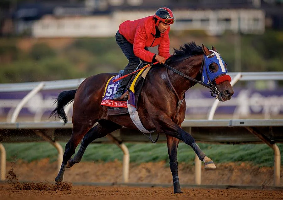 Doug O'Neill's Raging Torrent Poised for Third Godolphin Mile Triumph ...