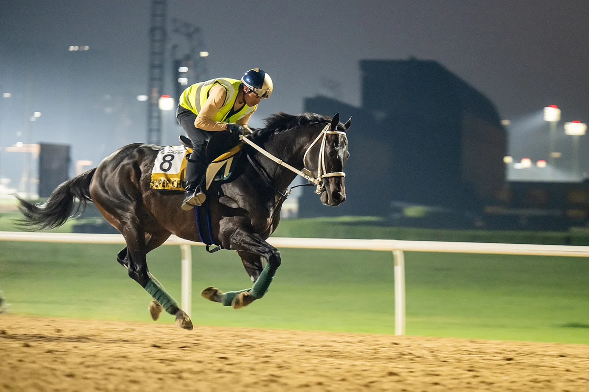 Dubai's Equine Legacy: How Horse Racing Shaped the City's Growth ...