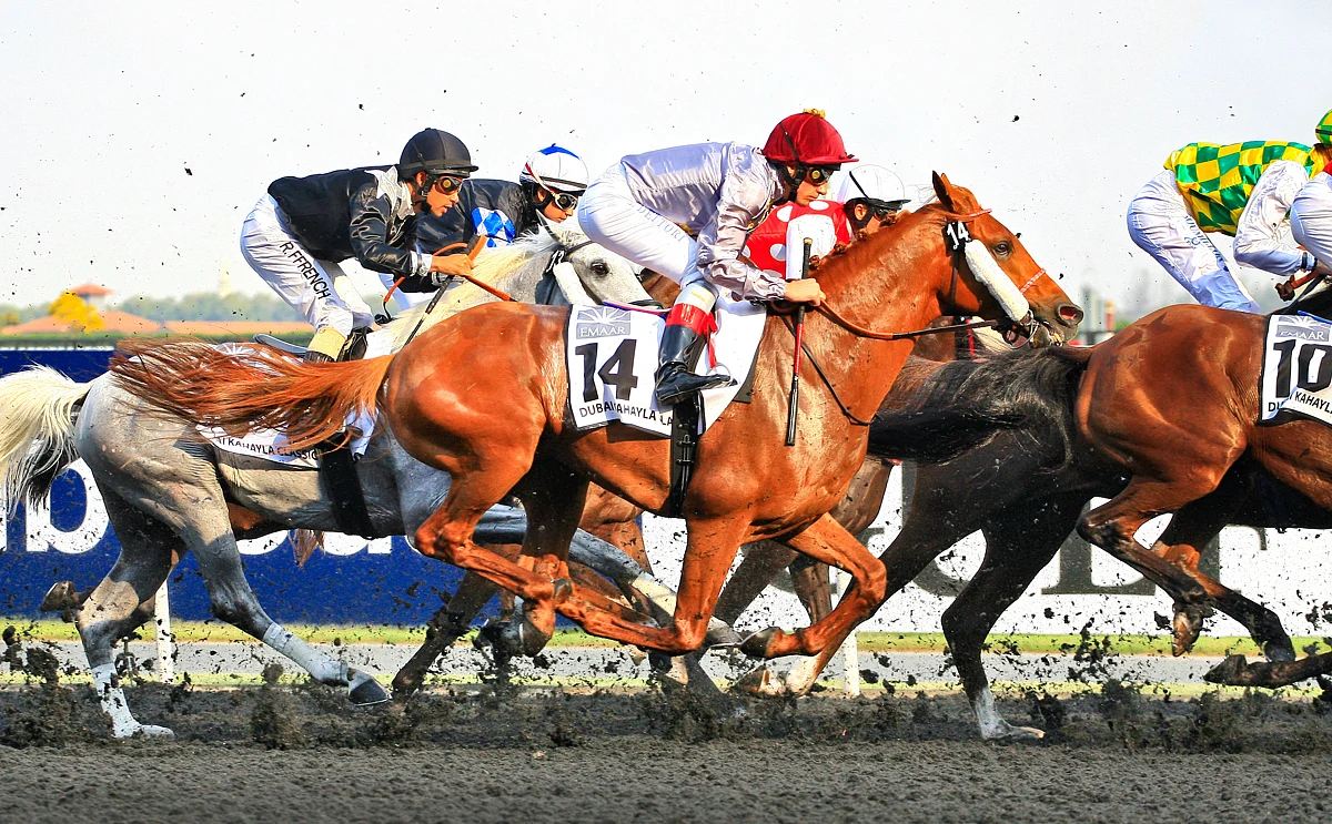 Dubai World Cup 2025: A look at the history and evolution of horse ...