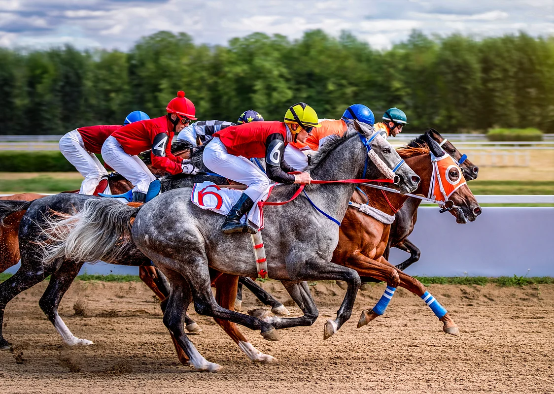 Speed vs. stamina: Which will dominate at Dubai World Cup 2025 ...