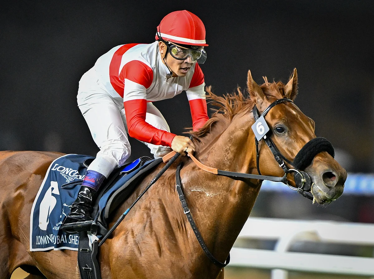 Dubai World Cup: Thank you, Dubai, says Tosaki as Danon Decile wins ...