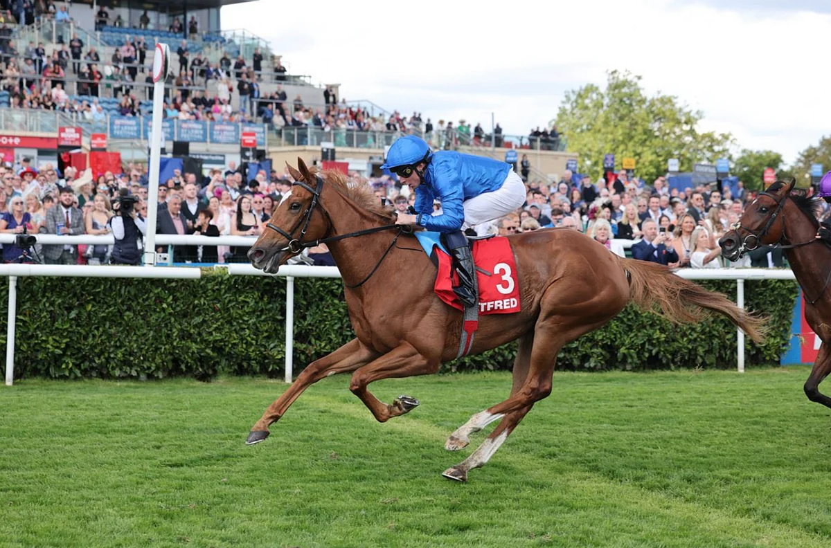 Godolphin target classic glory across continents on an epic global ...