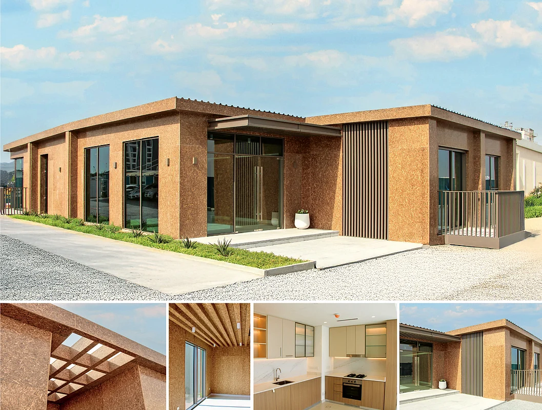 DesertBoard Innovation: Transforming Palm Fronds into Sustainable Wood ...