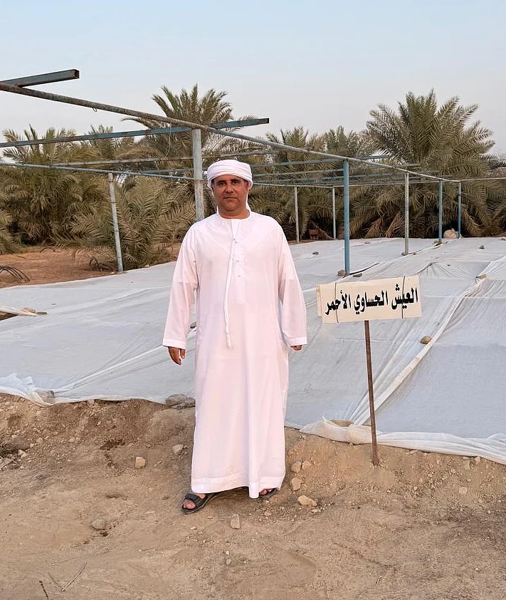UAE: How Ras Al Khaimah farmer grows rice, yields 60kg a year | Khaleej ...