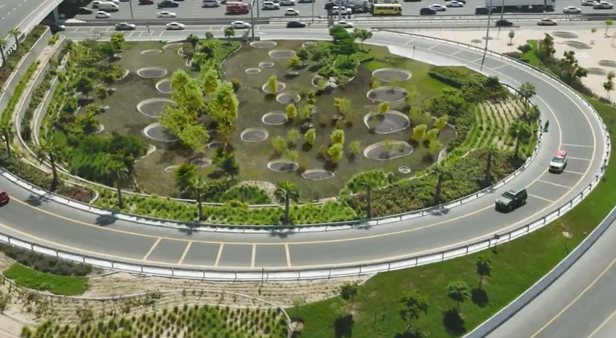 Dubai: Over 300,000 trees, seedlings planted at key intersections in ...