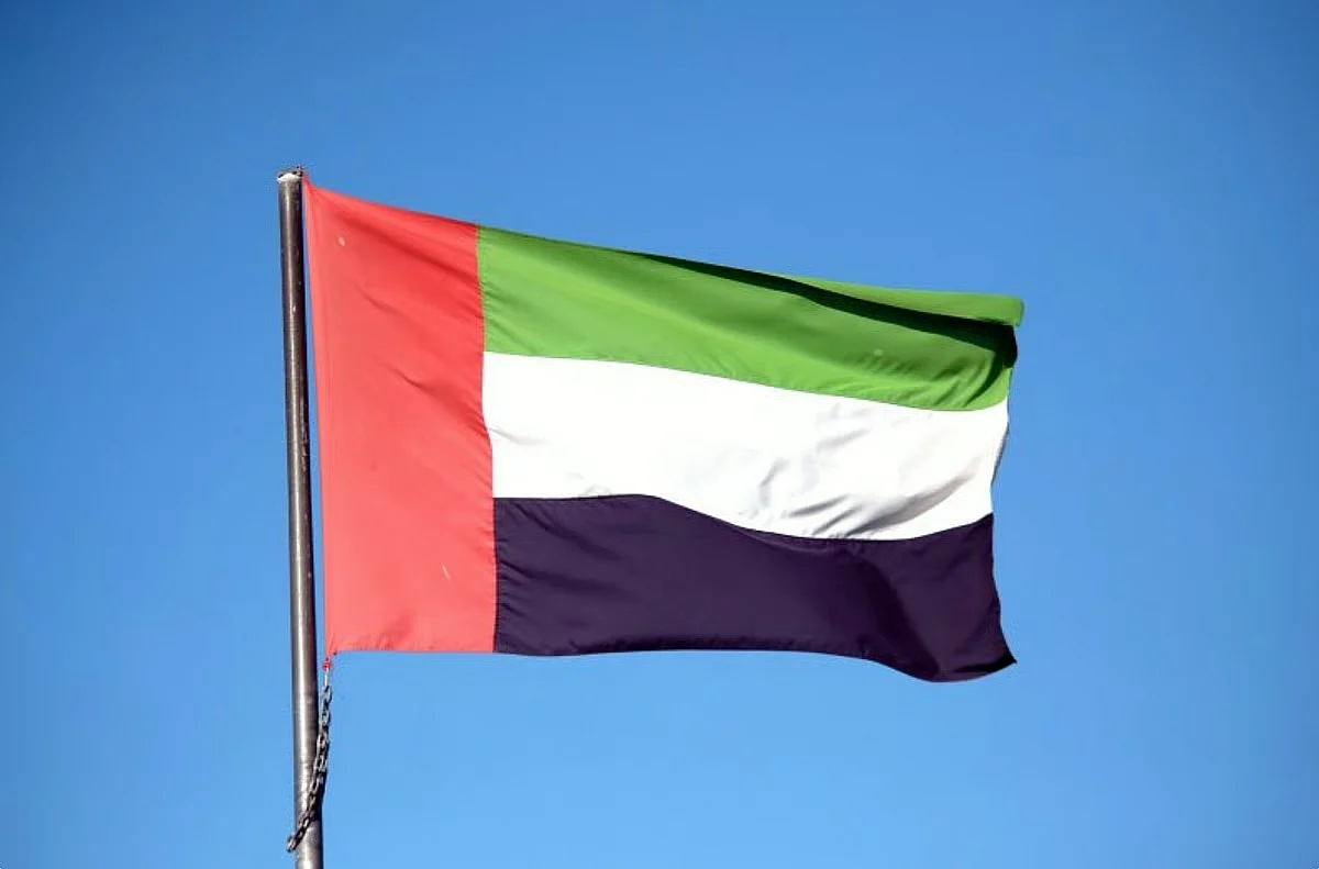 UAE embassy in Turkey urges citizens to exercise caution amid forest ...