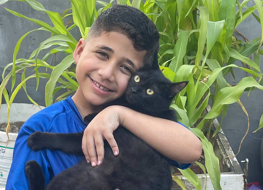 Watch: Meet 8-year-old in Gaza who rescues cats with 'nowhere to go ...