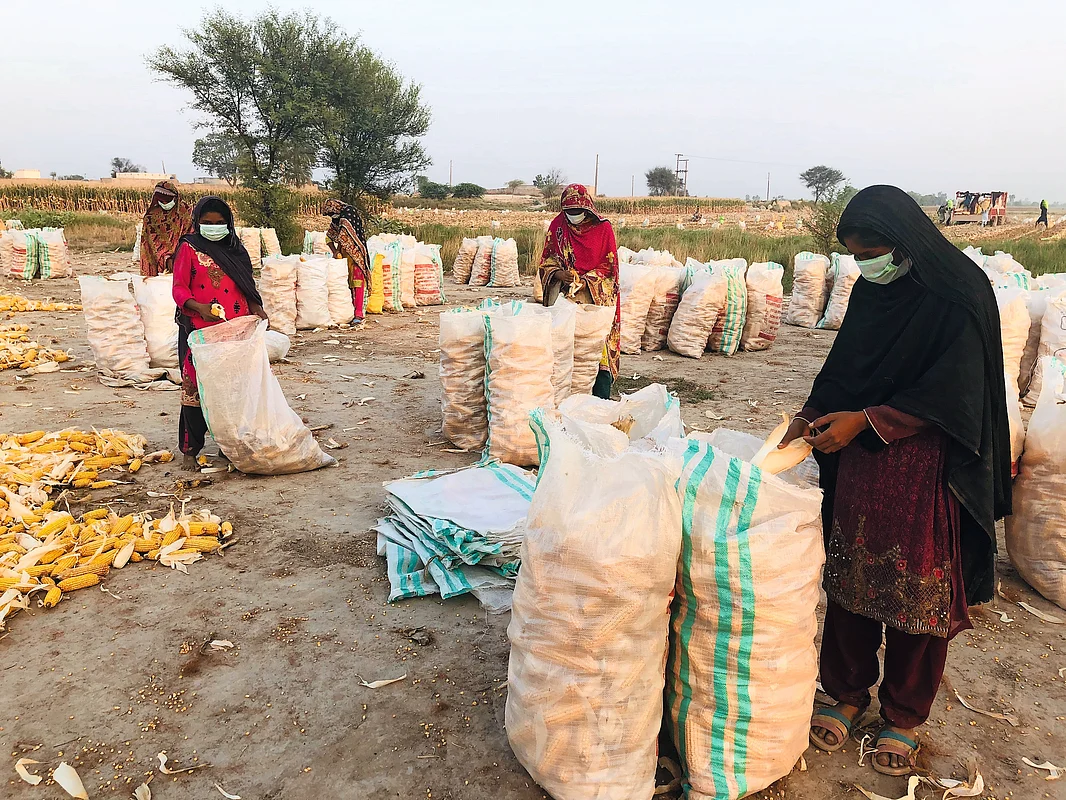 Empowerment in Pakistan: Women Carve New Roles in Society | Khaleej Times