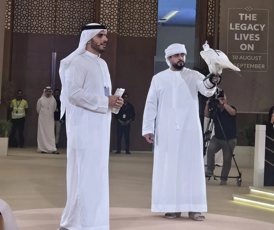 Watch: Rare Falcon sold for Dh350,000 at Abu Dhabi auction after fierce ...