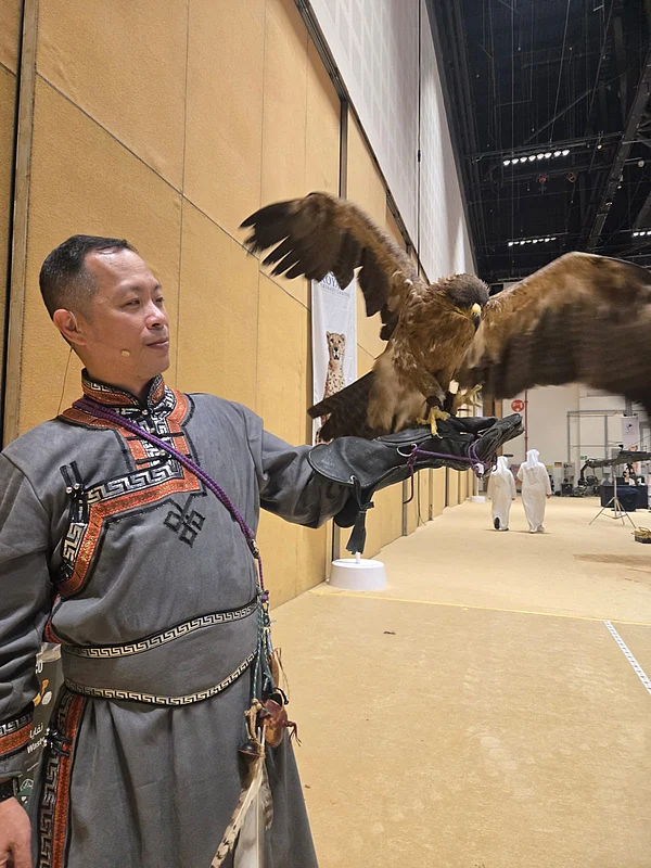 Watch: How to tell an eagle from a falcon? Instructor at UAE's Adihex explains | Khaleej Times