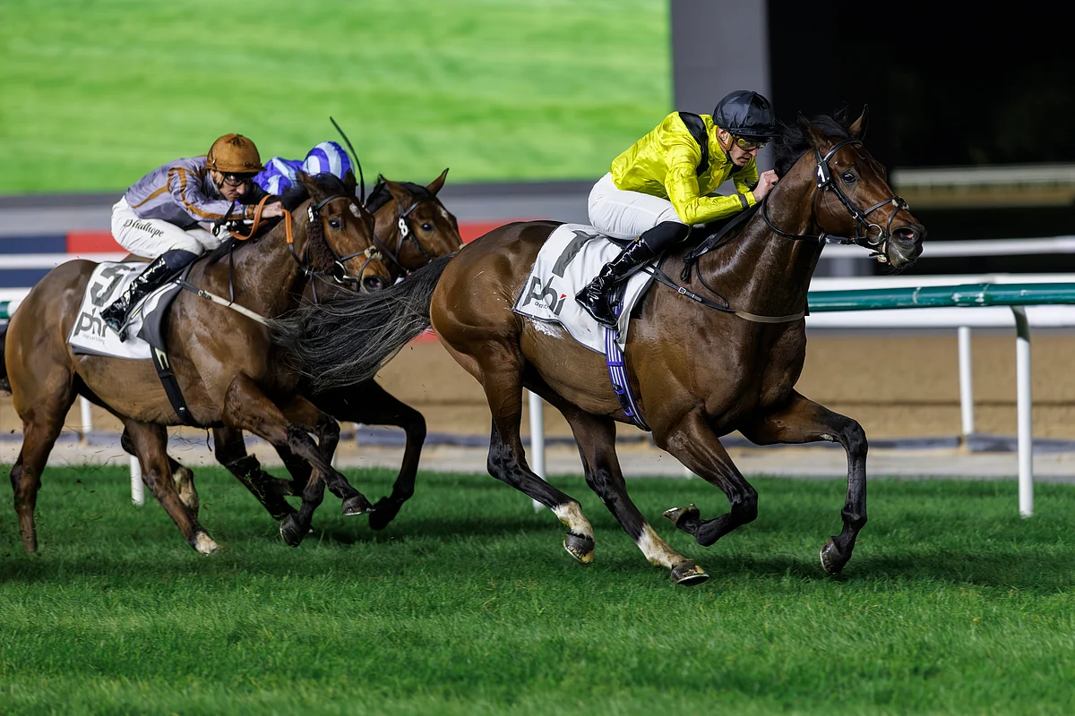 Dubai Racing Carnival 2026: Buick, Doyle, and De Sousa Light Up Meydan ...