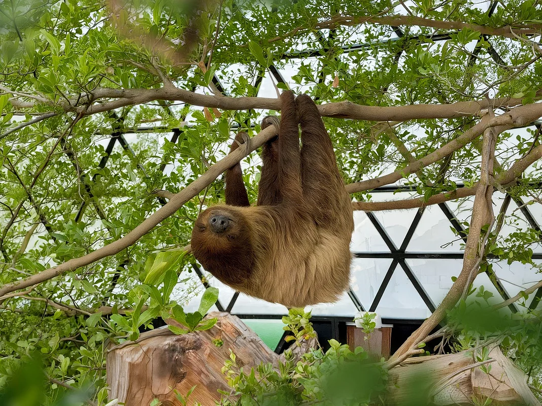 Butterfly Garden To Become Newest Indoor Wildlife | Gulf Insider