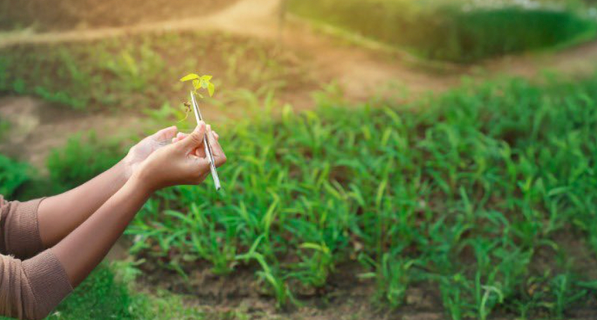 Up to Dh2-million fine: UAE issues new laws protecting plant, animal ...