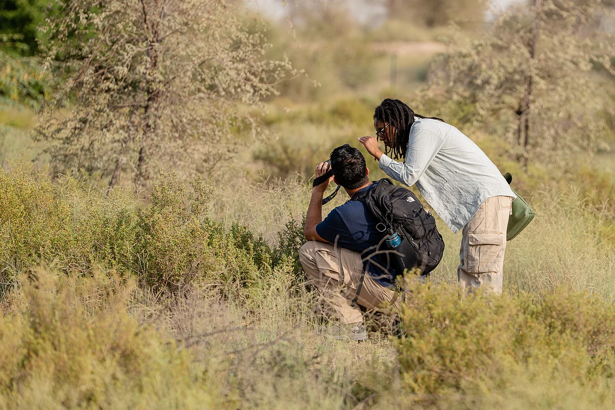Dubai residents discover nature’s beauty without leaving city in ...