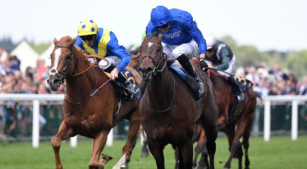 Godolphin's Blue Point is the true blue hero