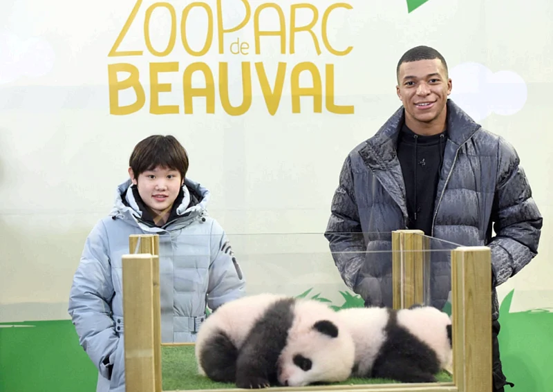Soccer star Mbappe becomes godfather to panda cub