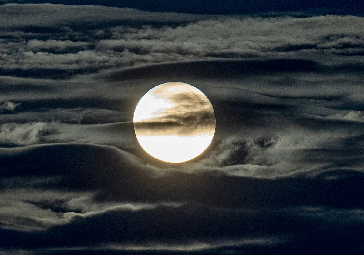 'Flower Moon' in UAE: Residents are in for a spectacular celestial ...