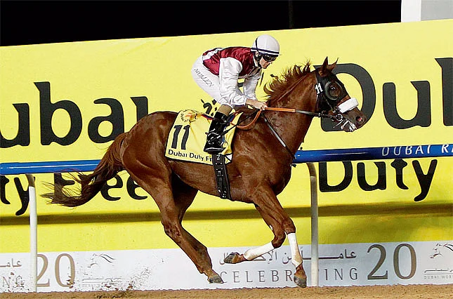 Seemar shines at Meydan | Khaleej Times