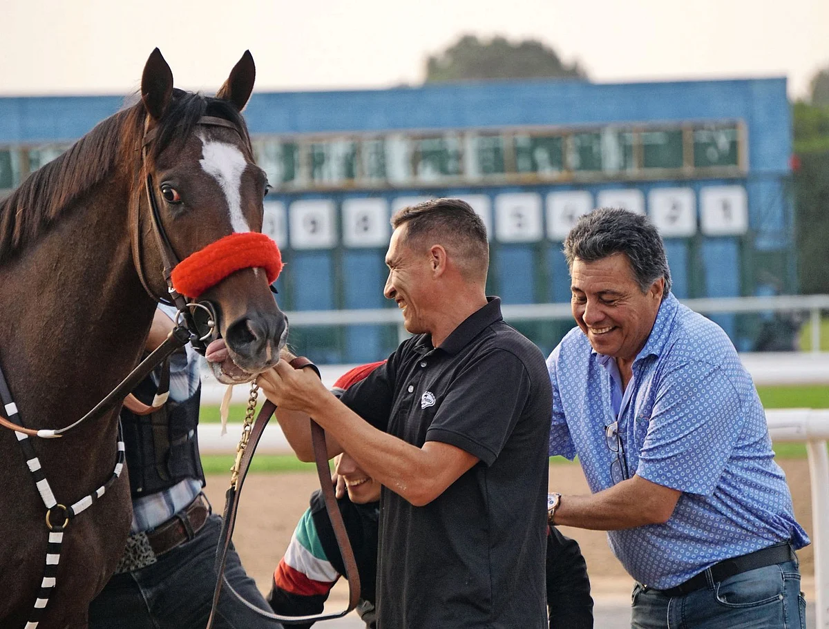 Hot Rod Charlie hopes to follow in Curlin and California Chrome's ...