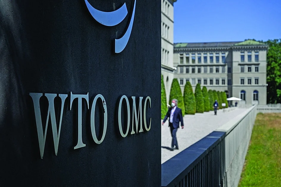 WTO urges countries to lift green trade barriers | Khaleej Times
