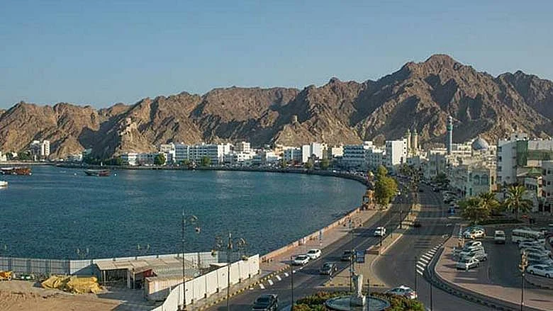 745 smuggling bids foiled at Hatta border in Dubai | Khaleej Times