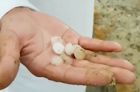 Weather alert: Pebble-sized hail stones pound UAE | Khaleej Times