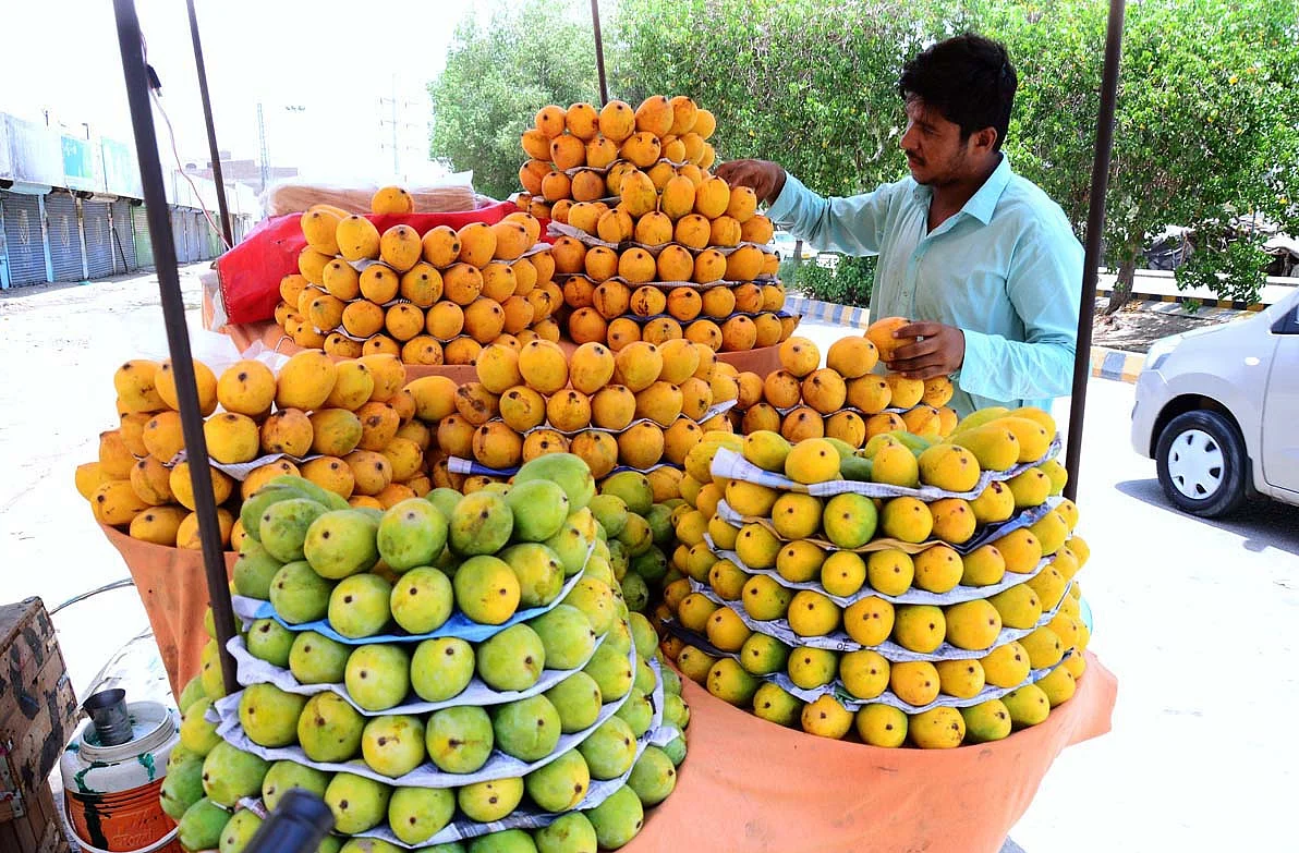 Pakistan's mango growers, exporters face a sticky season | Khaleej Times