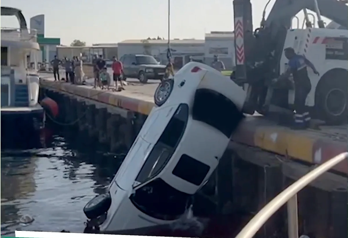 Watch: 2 men escape after car crashes into yacht, plunges into Al ...