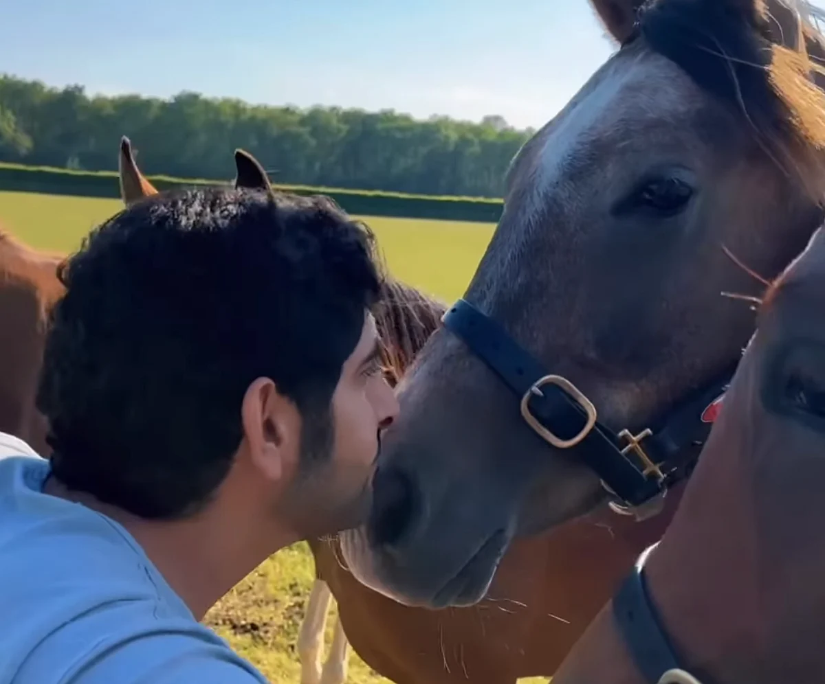 Dubai: Watch how Sheikh Hamdan's beloved horses react when he calls ...