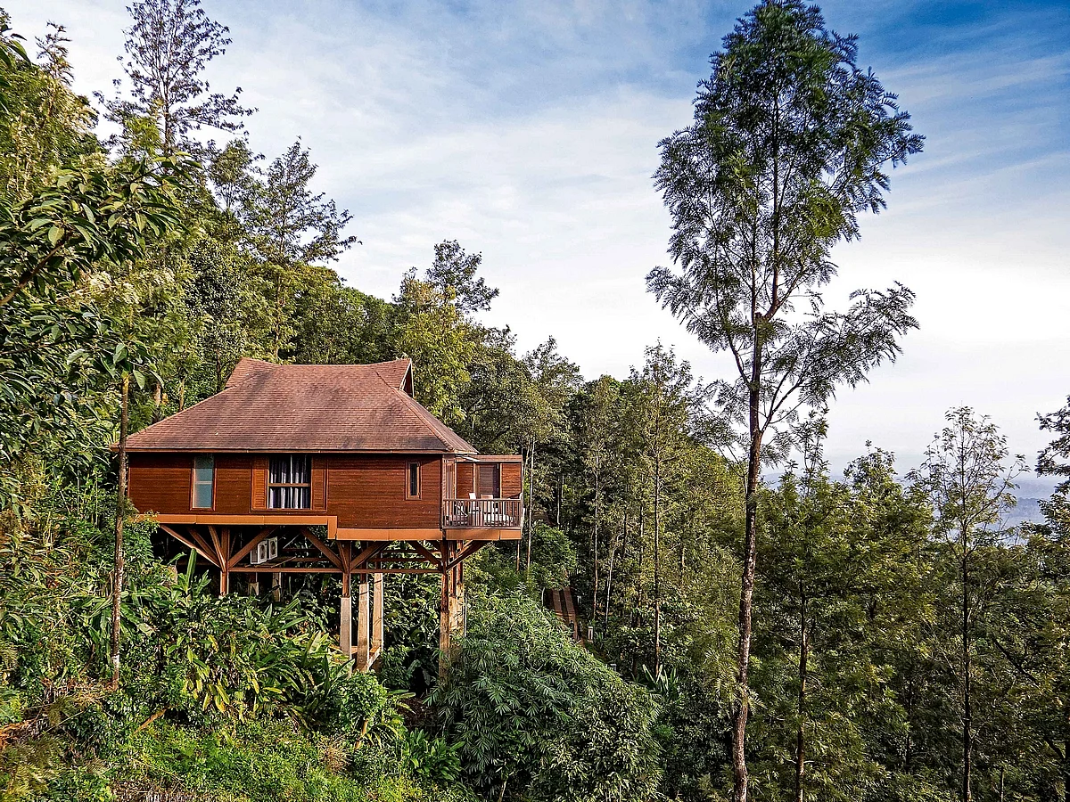 Immerse yourself in the greenery of Coorg | Khaleej Times