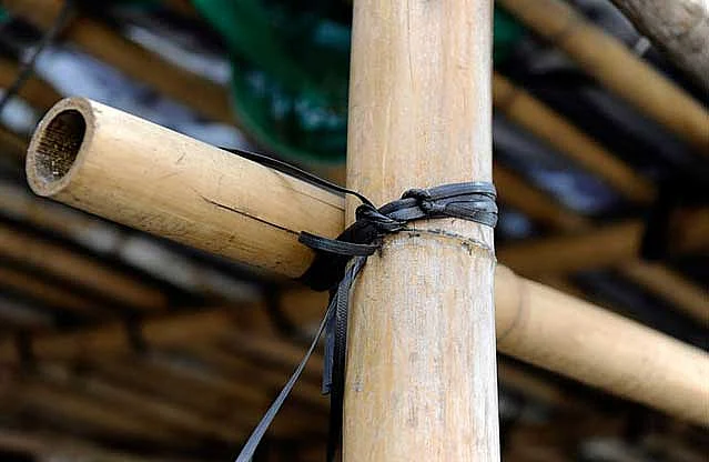 Two kids tied to pole, thrashed by vegetable vendor | Khaleej Times