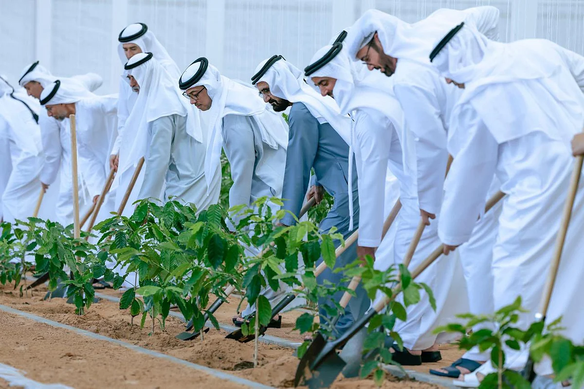 Video: Sheikh Mohammed launches 'Plant the Emirates' programme for ...