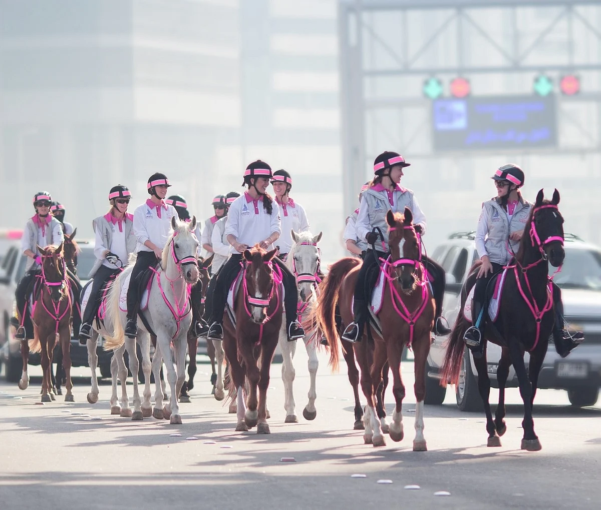 UAE: You will spot horses on roads, beaches and around malls today ...