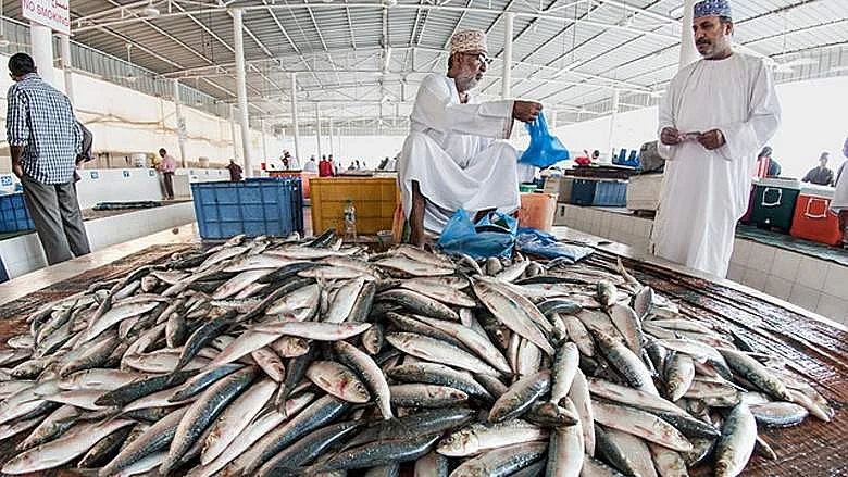 Decrease in Sheri, Safi fish price in UAE after ban ends | Khaleej Times