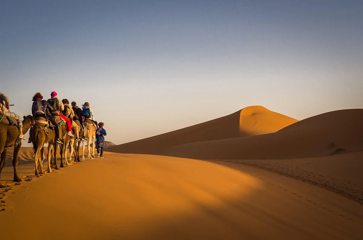 Woman sues TripAdvisor after falling off runaway camel