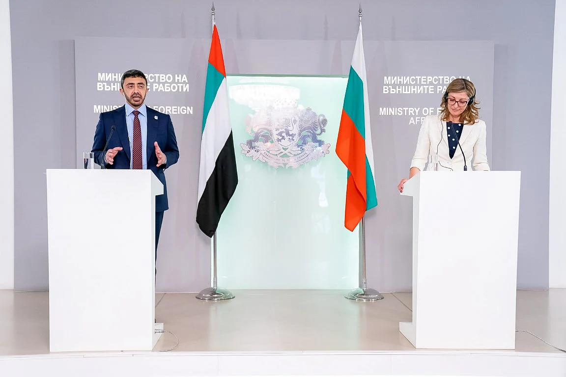 'Actors destabilising region impede development aspirations' | Khaleej ...