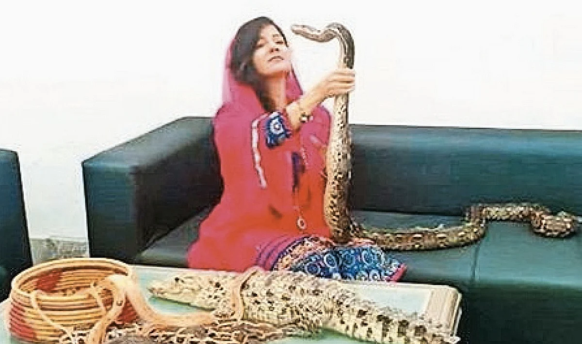 Pakistani singer threatens Indian PM Modi with reptiles; fined ...