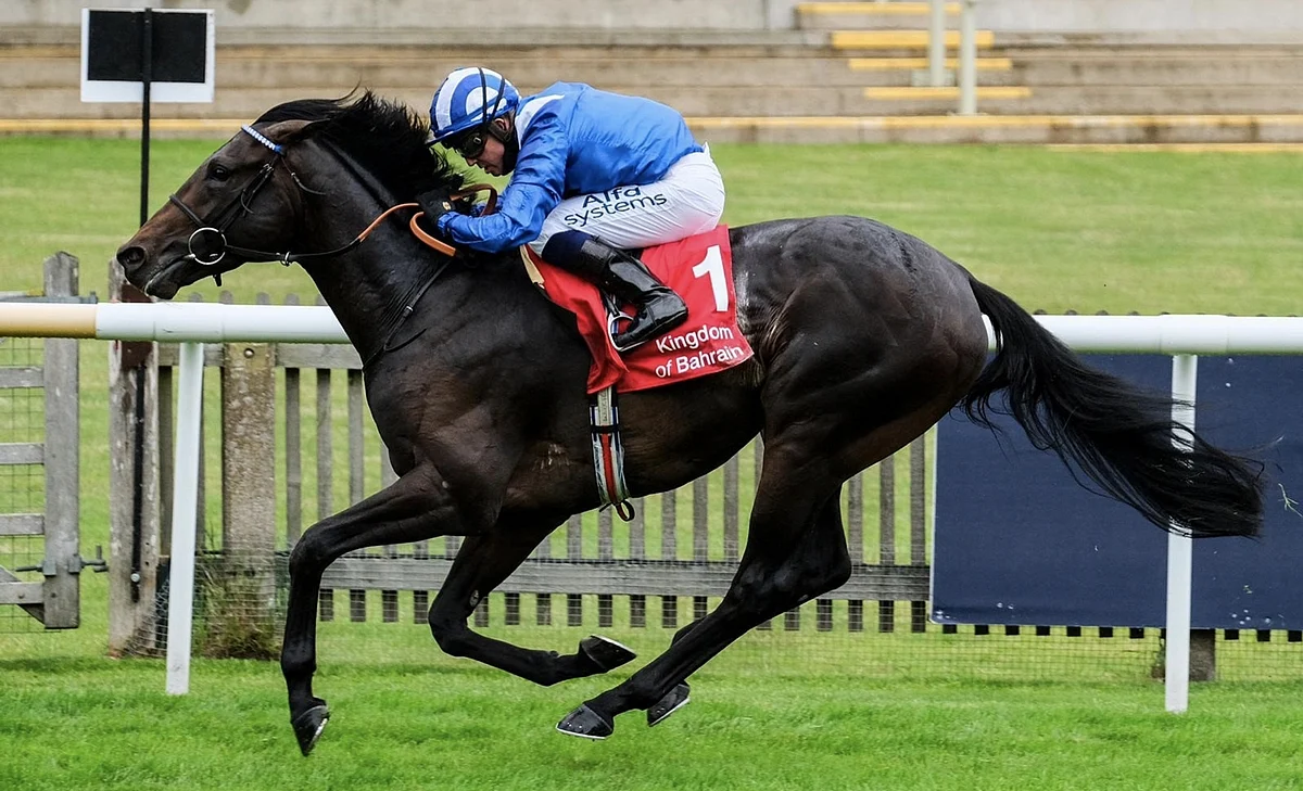 Al Aasy, Shared Sense star for Dubai | Khaleej Times