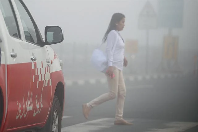 Fog causes 15-vehicle pile-up on Abu Dhabi-Dubai road | Khaleej Times