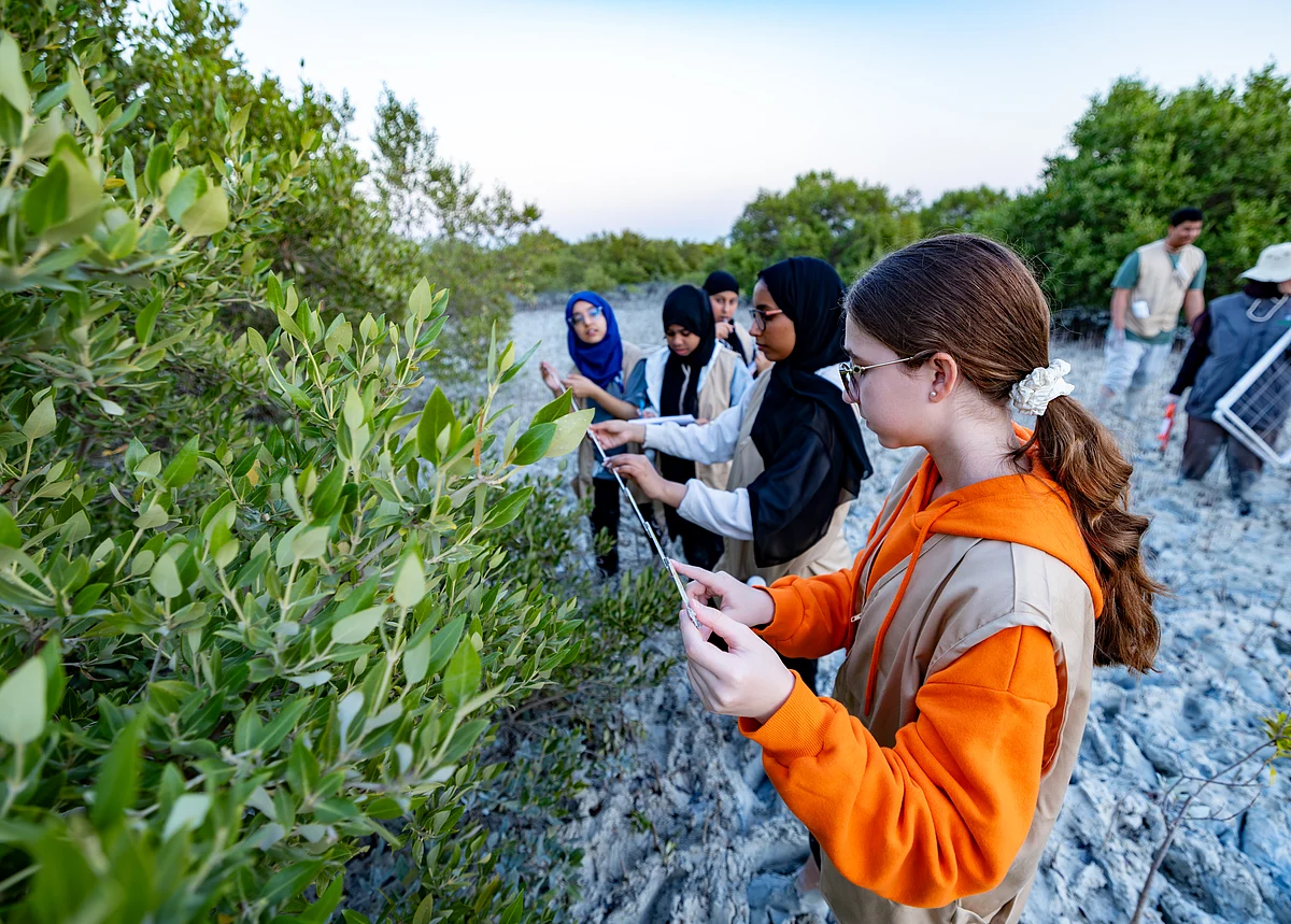 Online platforms, spellathon: How Abu Dhabi entity promotes ...