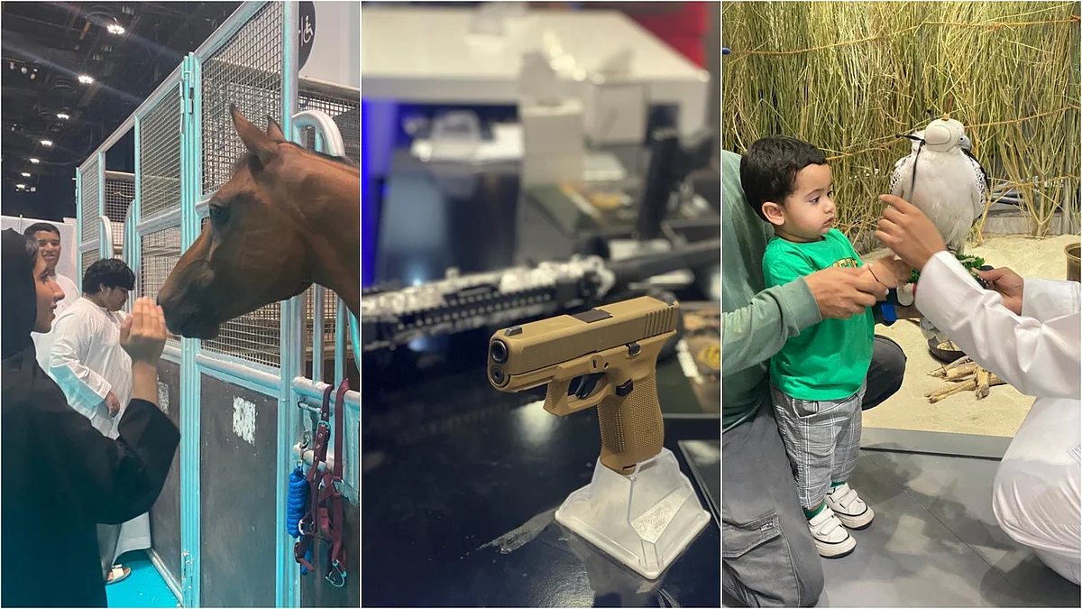 Historic UAE photos, rarest falcons: 9 must-see attractions at Abu ...