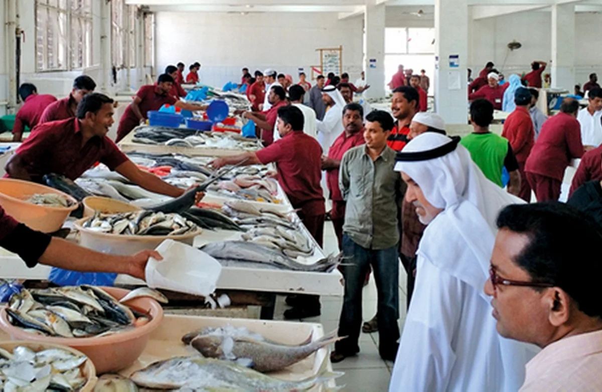 Heading to the RAK fish market? Check prices online first | Khaleej Times