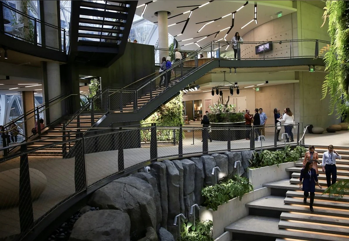 Amazon opens its own rainforest in Seattle | Khaleej Times