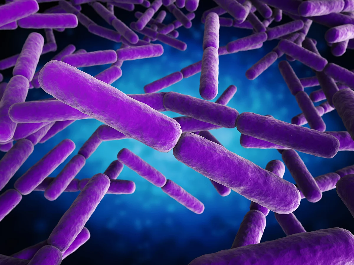 Shigella outbreak in Kerala under control, says health minister