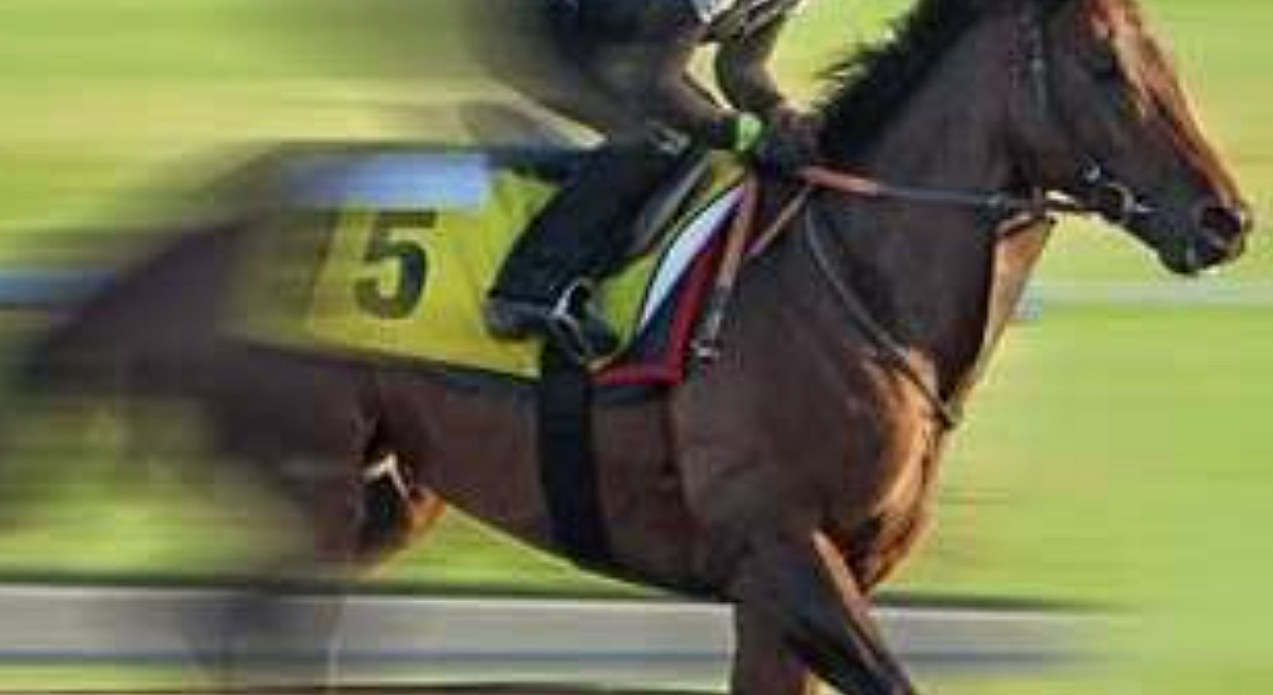 Horse racing: Mystic Guide draws gate 6 for $12 million Dubai World Cup