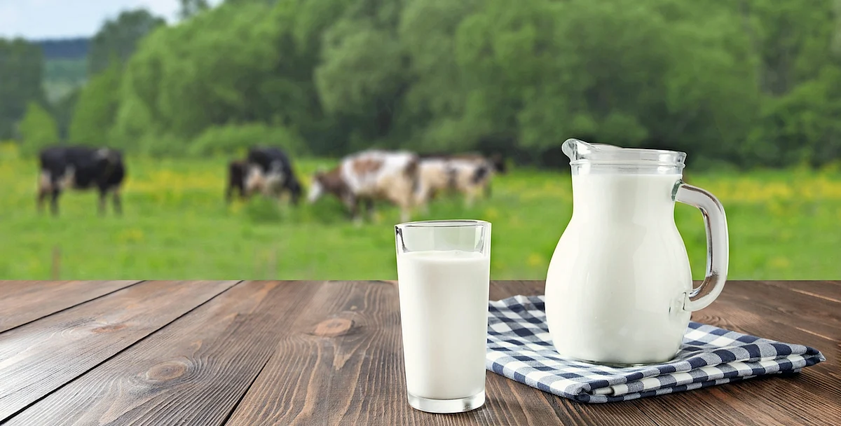 It's raining milk | Khaleej Times