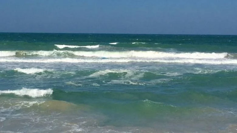 UAE: 3 citizens rescued by bystanders after being stranded during high ...