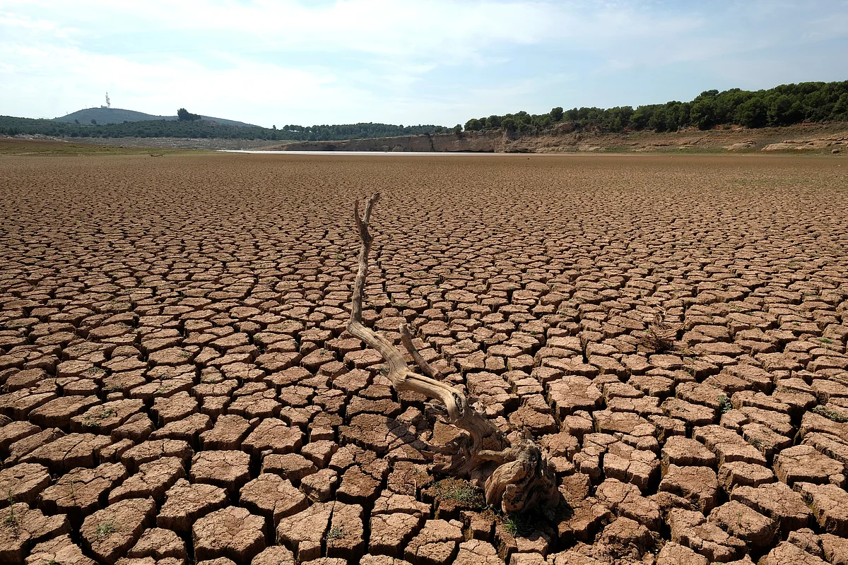 Middle East, North Africa water crisis must be top of the agenda at ...