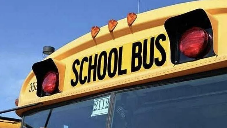 Sisters attack classmate, banned from school bus in RAK | Khaleej Times